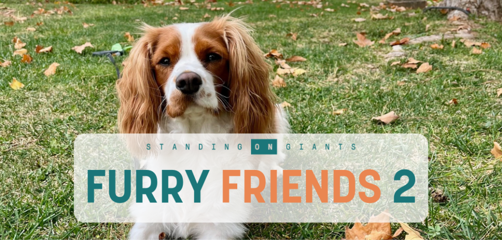 The Tale of the Tails: Meet Our Furry Friends Part 2 - Standing on Giants